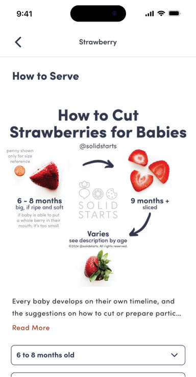 Solid Starts - How to introduce any food to babies