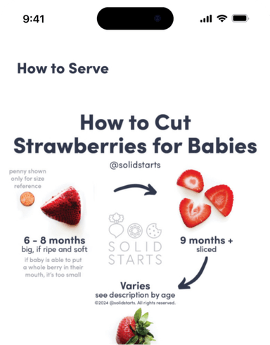 Solid Starts - How to introduce any food to babies