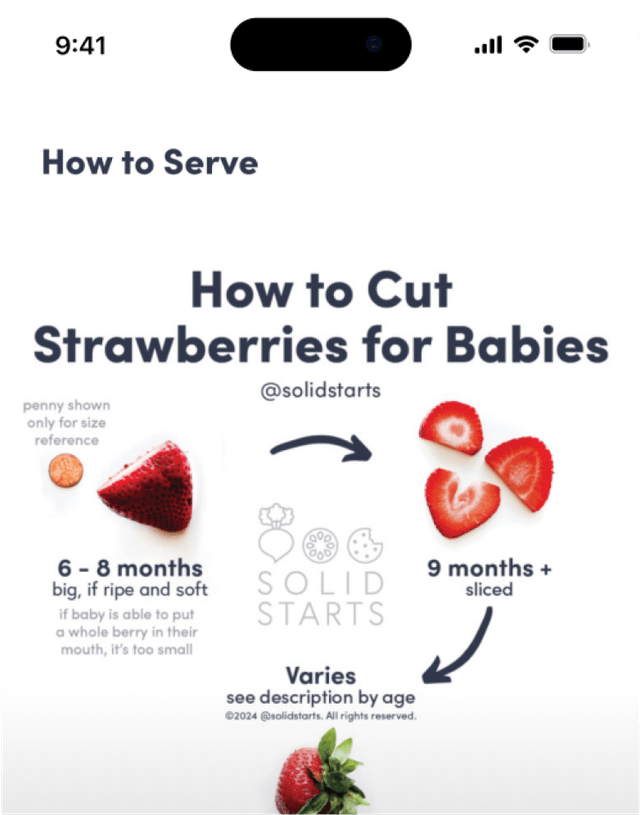 Solid Starts - How to introduce any food to babies